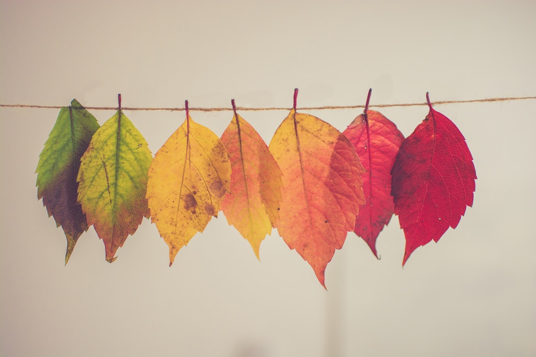 The Constant of Change - US Renewal